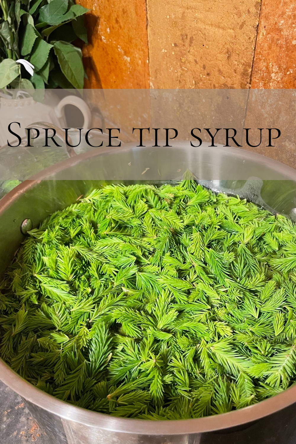 Homemade Spruce Tip Syrup (Easy Boiling Method) — Hirvoja Farm
