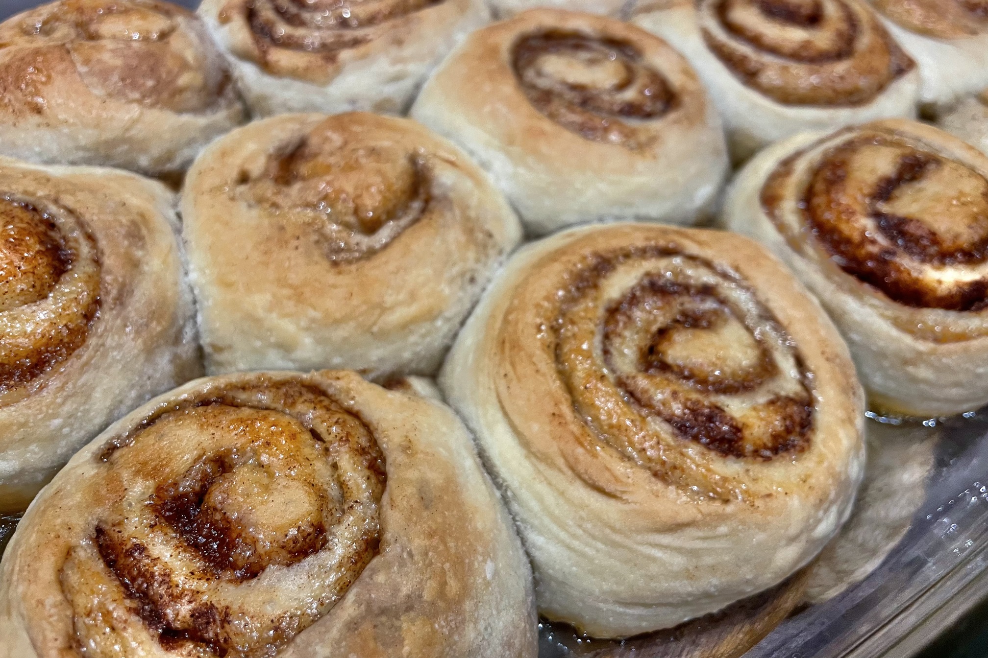 The Best Sourdough Brioche Cinnamon Rolls Recipe — Hirvoja Farm
